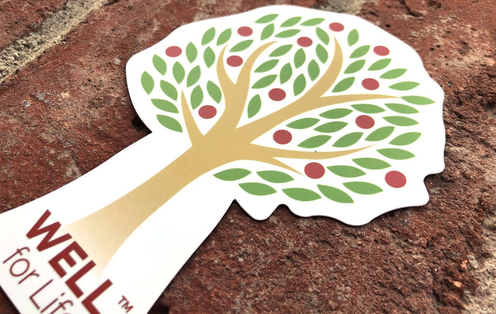 Postcards With Silk, Suede and Soft Touch Lamination And Foil Stamping ...
