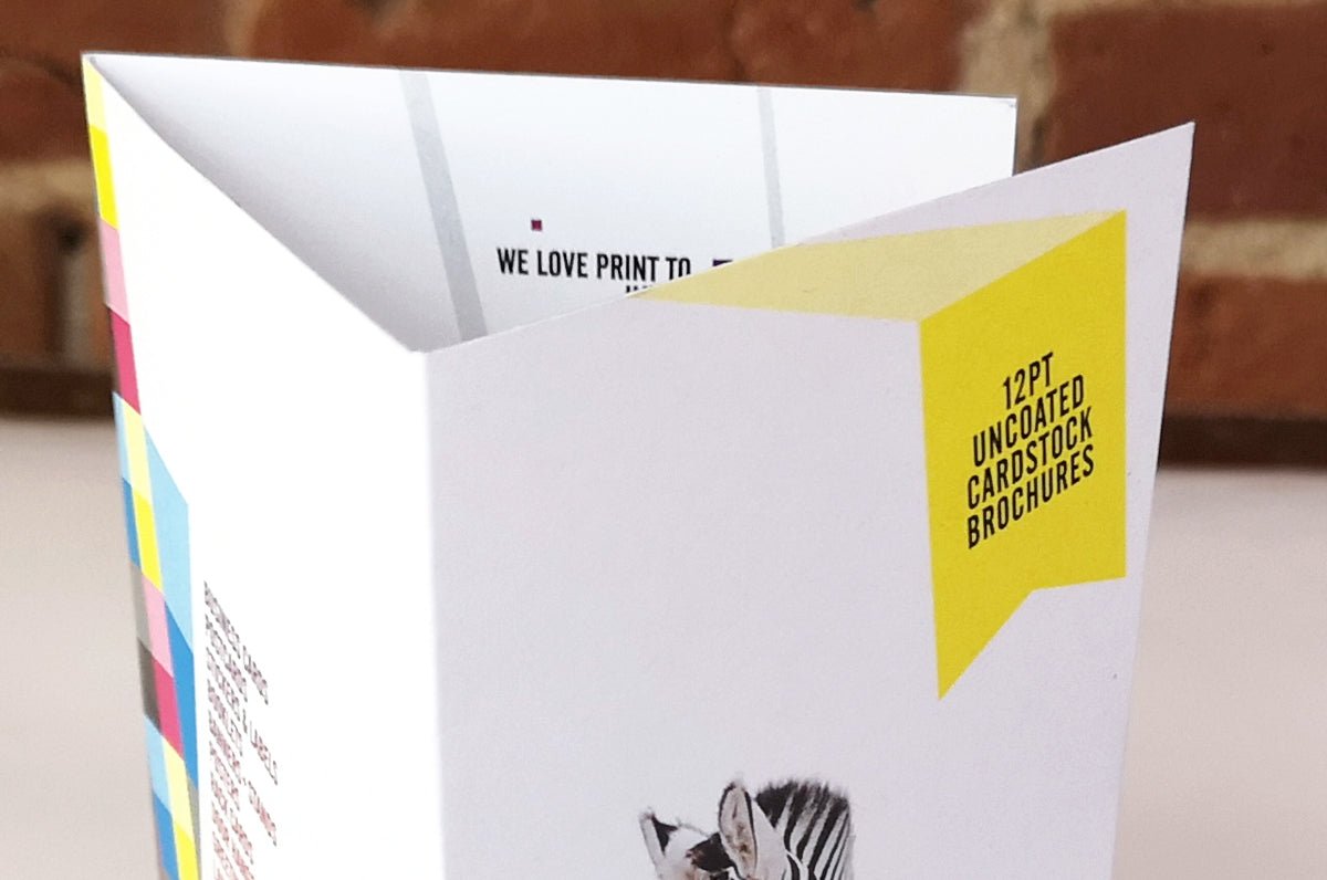 Uncoated Card Stock Brochures 12pt — Clubcard Printing USA