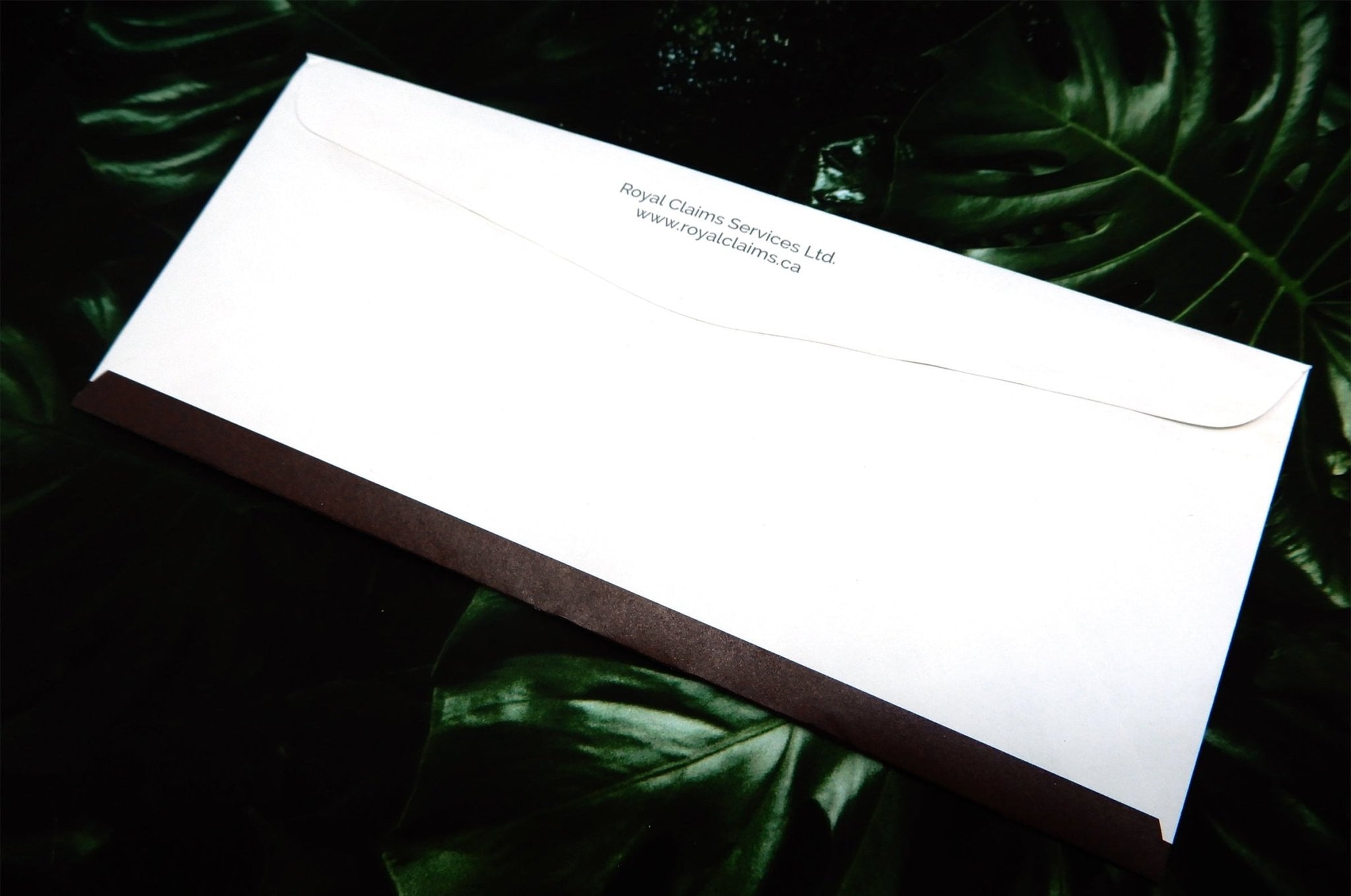 Custom No.10 Business Envelopes with Optional Windows — Clubcard ...